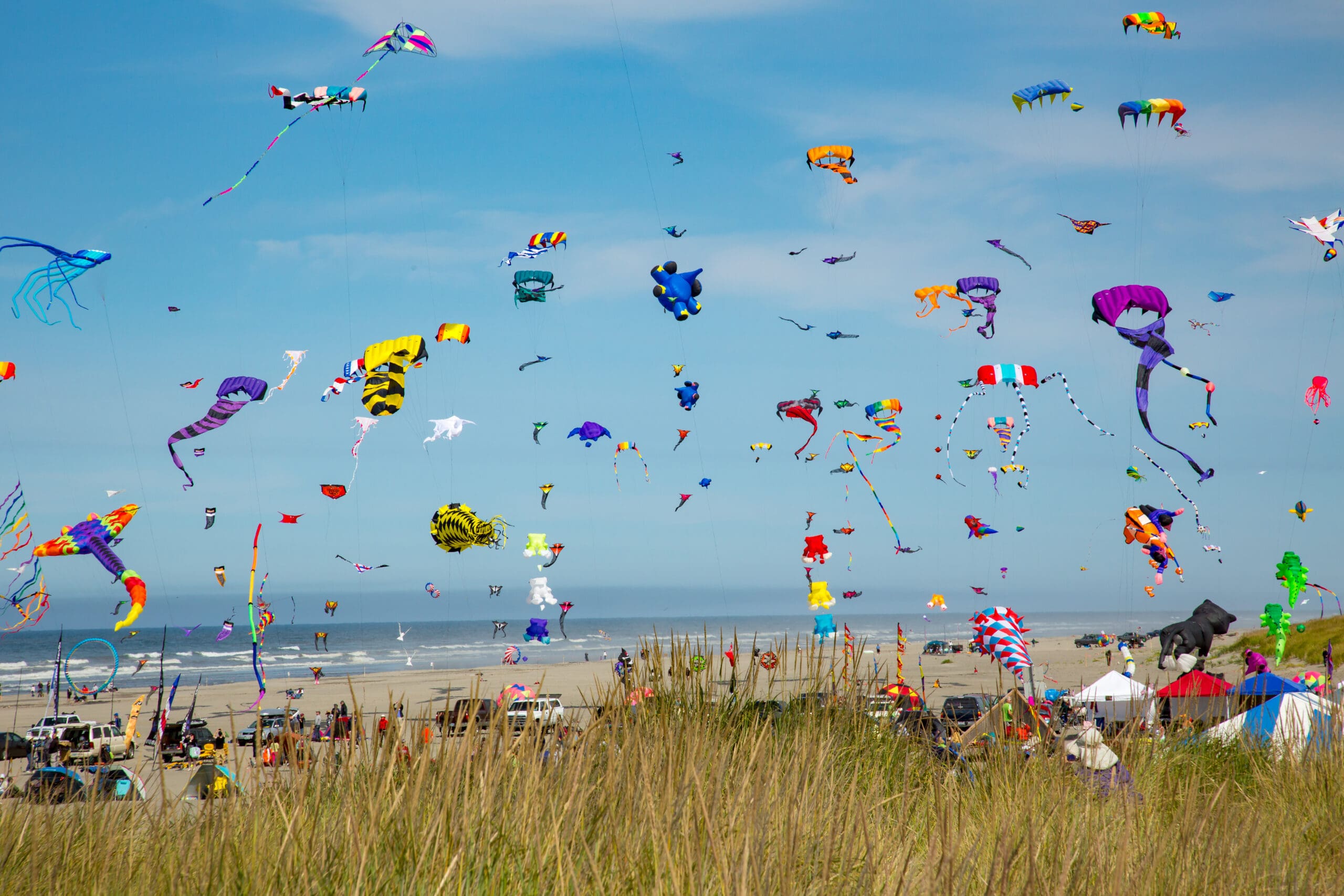 Let's Go Fly a Kite! A Fun Theme for Your RV Road Trip • Duraflap
